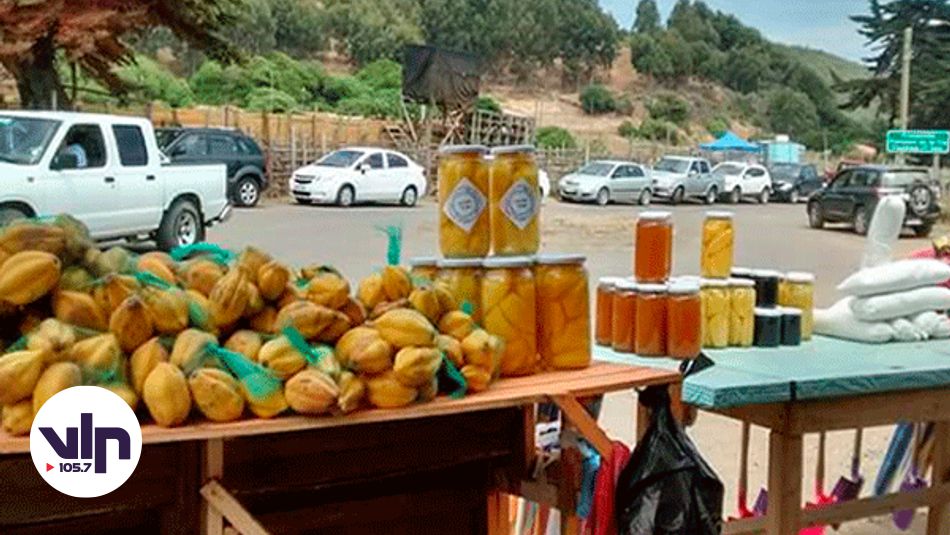 Este sábado se realiza la Fiesta de la Papaya en Lipimavida: shows en ...