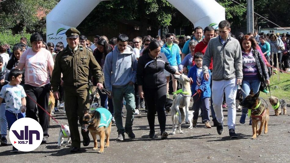 Carabineros reprograma caminata canina familiar en Curicó en beneficio ...